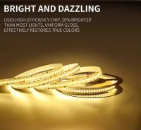 China Epistar Chip 26lm 120LEDs/m 30W SMD 2835 LED Strip 120° Beam for sale