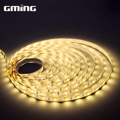 China IP20 2650lm 24W led flexible tape light With 144 Leds for sale