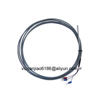 China PTFE PT100 Temperature Probe For Acid Heating Corrosive Chemical Heating for sale