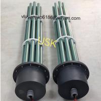 China 380V 3P 12kw PFA tube Immersion Heater for sale