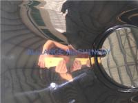 China TDL Telescopic Pharma Lifter Stainless Steel Drum Lifter Y Connector 80 Kg for sale