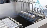 China Tropical Cartoning Alu Alu Blister Packing Machine Intelligent Control Servo Feeder for sale