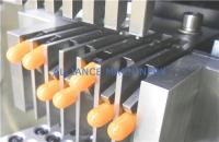 China High Configuration Semi - Auto 0L# 0# Capsule Filling Machine CGN208-DH PLC Semi-auto for sale