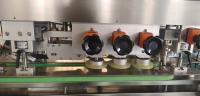 China 1.5kw Inline Capping Machine 300ml Bottle Screw Capping Machine for sale
