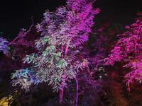 China 10°C-35°C Temperature Range Brilliant Laser Show with RGB Lighting for sale