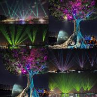 China Transform Space with Disco Laser Lights 50 G Power and 532 Nm Wavelength for sale