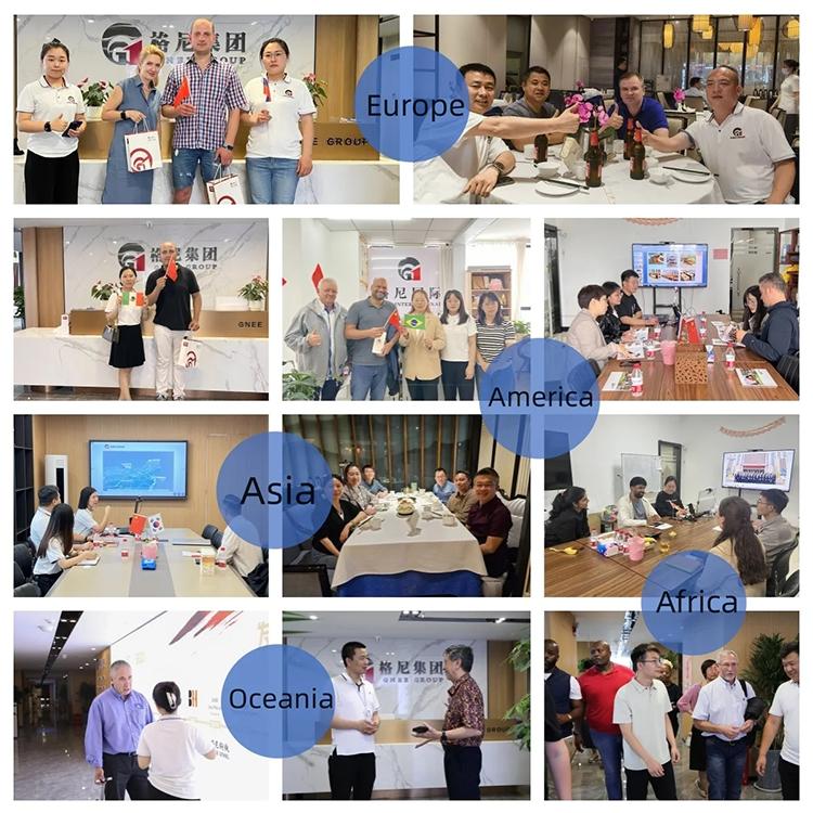 latest company news about What Is the Recommended Fresh Meat Ratio in a Single-Screw dog food extruder machine? 2