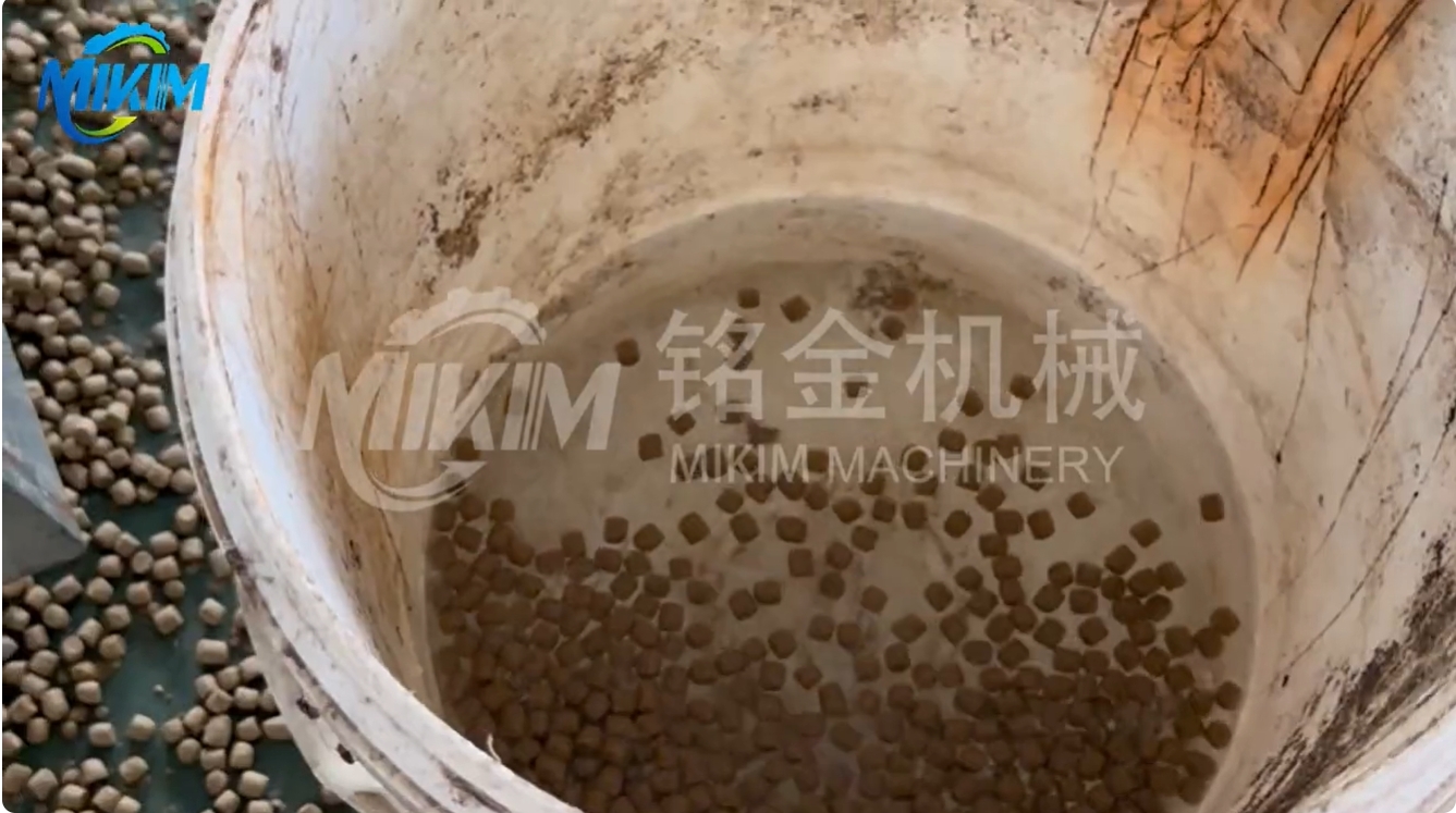 Fish feed pellet buoyancy test