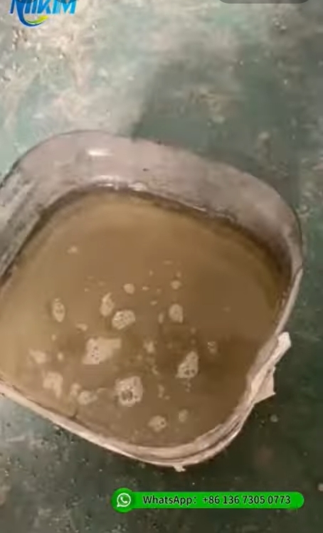 shrimp feed machine test for aquaculture