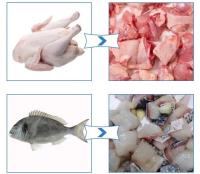 China Whole Chicken Dicer Cutting Machine 750kg/h for sale
