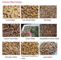 China Industrial Biomass Wood Pellet Makers Rice Husk Pellet Machine 22kw for sale