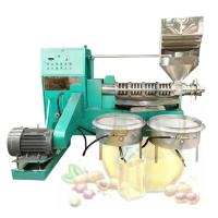 China Stainless Steel Walnut Automatic Oil Press Machine Compact for sale
