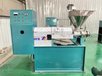 China High Efficiency Automatic Small Screw Oil Press Machine Easy Operation for sale