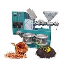 China High Efficiency Automatic Small Screw Oil Press Machine Easy Operation for sale