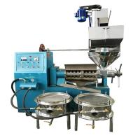 China Cold Coconut Oil Extraction Rapeseed Soybean Sunflower Sesame Seeds Peanut Oil Press Machine for sale