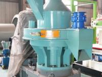 China 4mm 8mm Leaf Chip Wood Pellets Machine Cylindrical Particle For Coconut Shell for sale