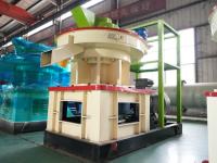 China Biomass Animal Feed Pelletizer 2-12mm Wood Granulator Machine for sale