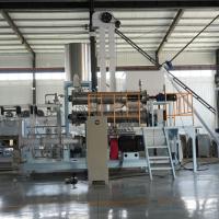 China Dog Food Processing Machine PLC Controlled Stainless Steel Twin-Screw Extruder for Dry Pet Food Production Line for sale