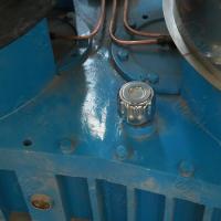 China Diesel Electric Wood Pellet Machine Mill 3CR13 Alloy Metal Bagasse Tobacco Residue for sale