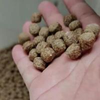 China Hydroponic Floating Fish Feed Machine 60 To 80kg/ H Dog Food Processing Machine for sale