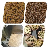 China 100kg/ H Dog Poultry Feed Pellet Machine 220V 3KW for sale