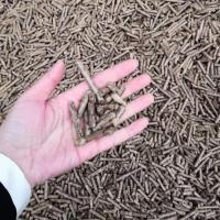 China Coffee Waste PTO Driven Wood Pellet Mill 20mm With Rollers for sale