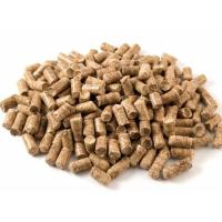 China MIKIM 2.5mm Die Chip Wood Pellets Machine Small Scale 900kg/ H for sale