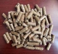 China Stainless Steel Alfalfa Pellet Making Machine 55KW Ring Die Vertical Feeding for sale