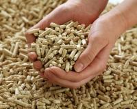 China MIKIM Anti Friction Wood Pelletizer Mill Biomass Hay Pellet Maker Durable for sale