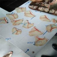 China 220V Fish Slicer Meat Processing Machine 0.6t/ H for sale