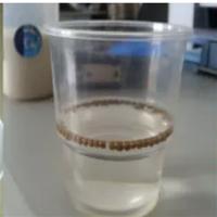 China ODM 0.9mm Fish Feed Pellet Machine Dustproof for sale