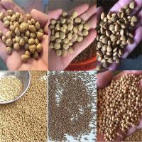 China 1.5t/ H Fish Feed Pellet Machine Dry Pet Dog Food Making Machine 90kw 155mm Dia for sale