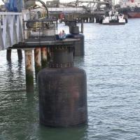 China High Energy Absorption BV Donut Fender For Docking Marine EVA Bumper for sale