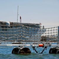 China HDPE Port Security Floating Barriers With ISO9001 Certified for sale