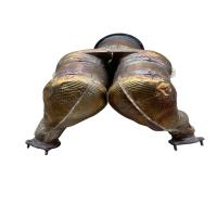 China Exhaust Pipe of the New High Quality Cayenne 9YA Engine Exhaust Ternary Catalytic Converter Exhaust Gas Purifier for Porsche for sale