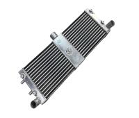 China Classic High-quality R8 FSI quattro 422, 423, 427, 429 Front Intercooled Auxiliary Water tank Radiator Cooler for Audi for sale