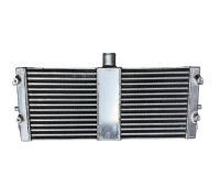 China Classic High-quality R8 FSI quattro 422, 423, 427, 429 Front Intercooled Auxiliary Water tank Radiator Cooler for Audi for sale