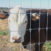 China Hot Dipped Galvanized Tightlock Wire Mesh Security Fence Netting For Deer Fence for sale