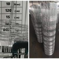 China Hot Dipped Galvanized Tightlock Wire Mesh Security Fence Netting For Deer Fence for sale