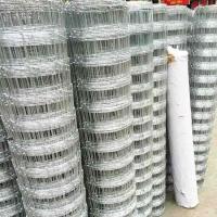 China 1.8m High 100m Long Farm Field Fence For Sheep Farm for sale
