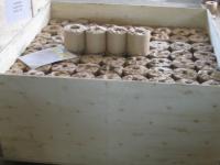 China 152x24mesh Filter Oem Stainless Steel Wire Mesh Cloth SUS304 for sale