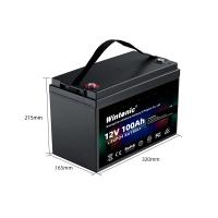 China For Solar Energy Storage System Deep Cycle with BMS 12v 24V 100ah  200ah Lithium Ion Lifepo4 Battery Pack for sale