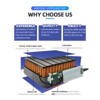 China For Solar Energy Storage System Deep Cycle with BMS 12v 24V 100ah  200ah Lithium Ion Lifepo4 Battery Pack for sale