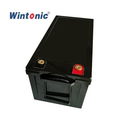 China Rechargeable Prismatic Lifepo4 Battery Pack 12V 100Ah 300Ah UPS Backup Battery for sale