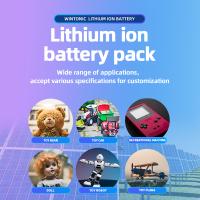 China Rechargeable Lithium Ion Batteries 14500 Battery Li-ion Lithium Battery Pack Ncm for Conference Microphone Ncm 7.4V 700mAh for sale