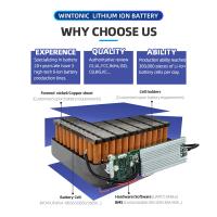 China Lifepo4  Battery Pack  48v 60ah Lithium Ion Battery Ebike Electric Vehicles for sale