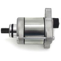 China Sample Make Sample Electric Starter Motor for KTM 250 300 EXC XC-W XC in Natural Color for sale