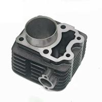 China 20-30 Days Delivery Time Motorcycle Cylinder Head Block Kit for Bajaj Boxer CT 100 for sale