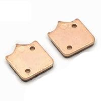 China Front Position FA604 Sintered Motorcycle Brake Pads for BMW S1000R S1000RR Custom for sale