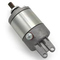 China Replace/Repair Natural Color Starter Motor for KTM 640 LC4 Dirt Bike LC4 640 Parts for sale
